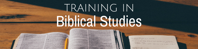 Biblical Studies Training | Servants University | Training Servants for ...