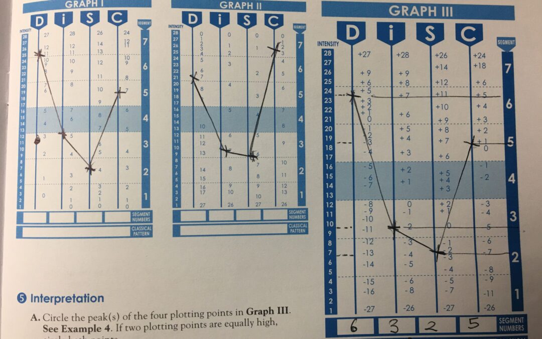 DiSC_Graphs | Servants University | Training Servants for Christ